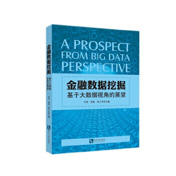金融数据挖掘【正版图书】