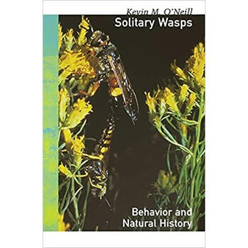 Solitary Wasps