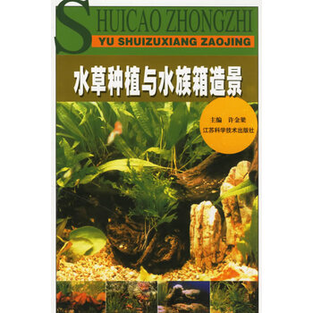 水种植与水族箱造景