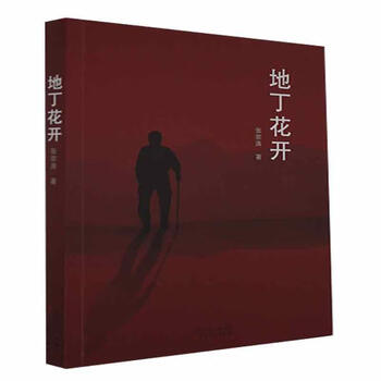 地丁花开张宗涛百花文艺出版社9787530678589 小说书籍