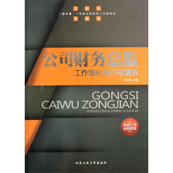 公司财务总监工作细化执行与模块
