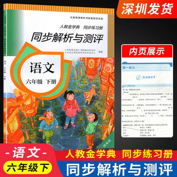 2022 人教金学典同步练习册 同步解析与测评语文6六年级下册 语文教辅练习册 深圳发货 语文 六年级下