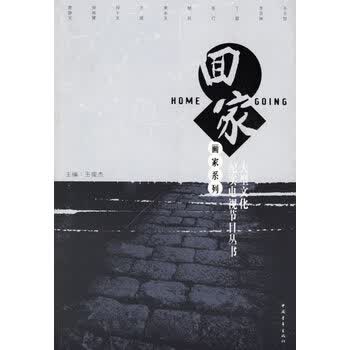 画家系列:大型文化纪实电视节目丛书 王俊杰