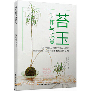苔玉制作与欣赏