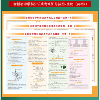升级版 初中知识点汇总挂图人教版9科重点知识各科课本重难点套装 生物3张