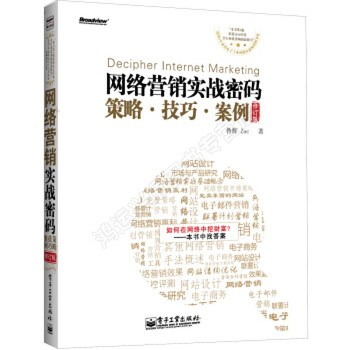 网络营销实战密码 策略、技巧、案例