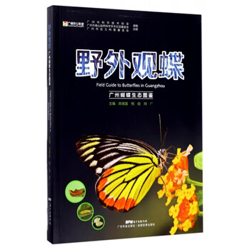 野外观碟：广州蝴蝶生态图鉴（彩图版） 全新正版