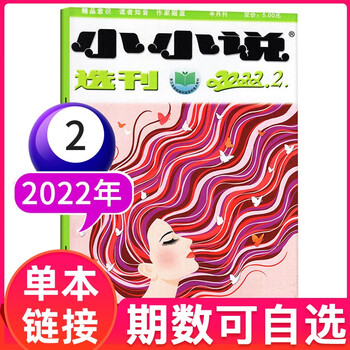 【多期单本自选】小小说选刊杂志2022年/2021/2020年小说文学文摘类故事类期刊【单本】 2022年第2期
