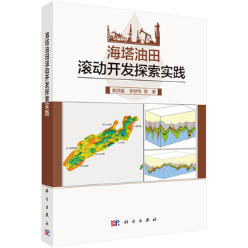 正版书籍 海塔油田滚动开发探索实践 姜洪福等科学出版社9787030710499 248