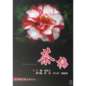 茶梅(精)