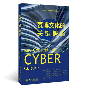 赛博文化的关键概念