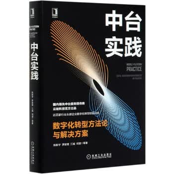 中台实践(数字化转型方法论与解决方案)(精)