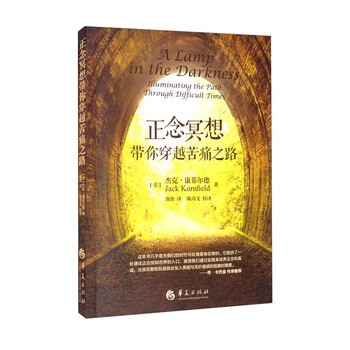 正版 正念冥想带你川渝苦痛之旅9787522200989