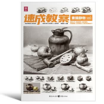 速成教案.素描静物