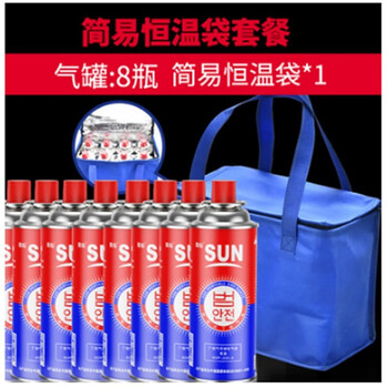 姒桀防爆便携式卡式炉气罐喷火枪户外丁烷液化燃气瓶瓦斯小煤气罐 8瓶*(220g瓶)+袋子