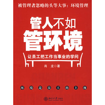 管人不如管环境 肖龙 著 北京大学出版社