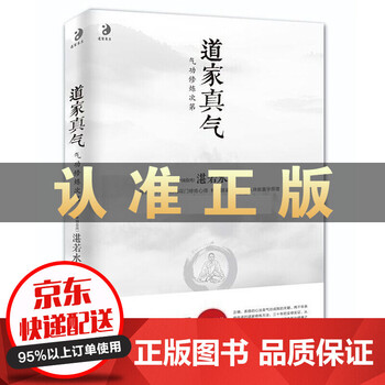 道家真气 气功修炼次第 湛若水著 传承两千余年的梅花门修炼心得 气功初学者修炼入门指南书 养生术