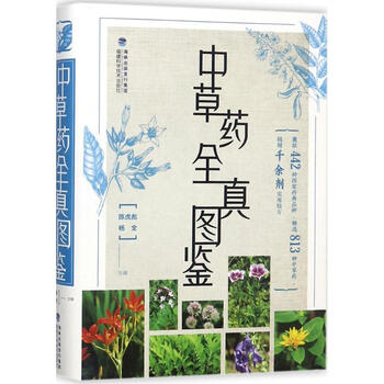 中药全真图鉴 陈虎彪,杨全 9787533554675 福建科学技术出版社