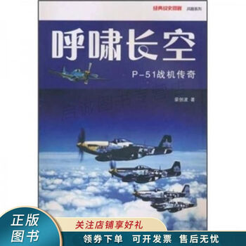 呼啸长空P-51战机传奇