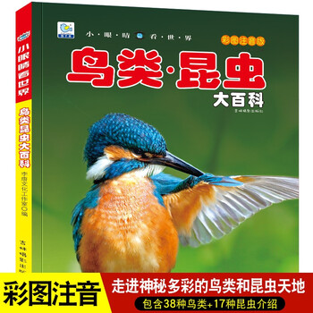 野生动物大百科全书全套海洋动物幼儿绘本中国少年儿童版注音课外读物 飞机野生动物恐龙工程车植物昆虫兵器战车人体宇宙未解之谜枪械百科自然知识书适合3-6-12岁儿童的科普书籍 鸟类·昆虫一册