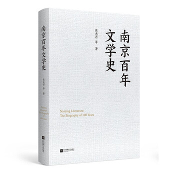 南京百年文学史 张光芒著