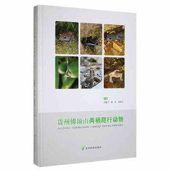 贵州佛顶山两栖爬行动物(精)吕敬才贵州科技出版社9787553209395 科学与自然书籍
