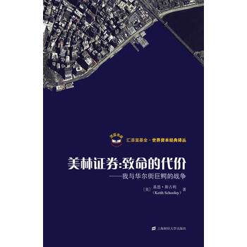 美林证券:致命的代价•我与华尔街巨鳄的战争