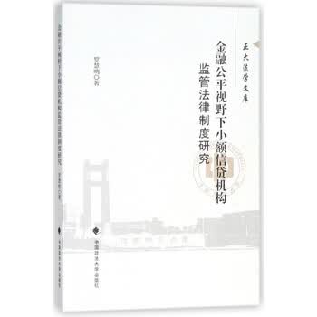 金融公平视野下小额信贷机构监管法律制度研究/正大法学文库
