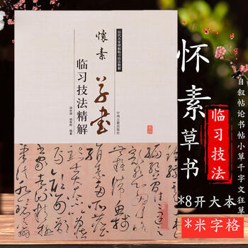 怀素草书临习技法精解自叙帖论书帖小草千字文狂草书法教程精讲精