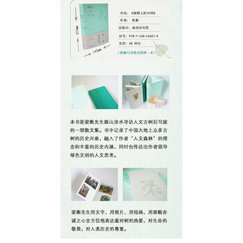 树梢上的中国