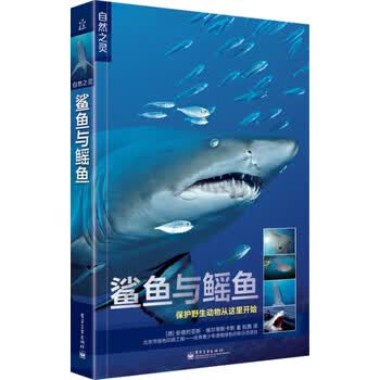 鲨鱼与鳐鱼【正版图书】