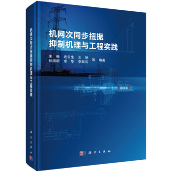 机网次同步扭振抑制机理与工程实践