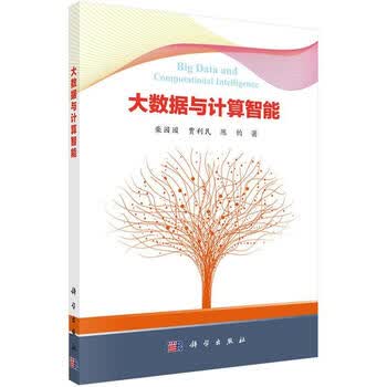 大数据与计算智能柴园园科学出版社9787030506160 计算机与互联网书籍