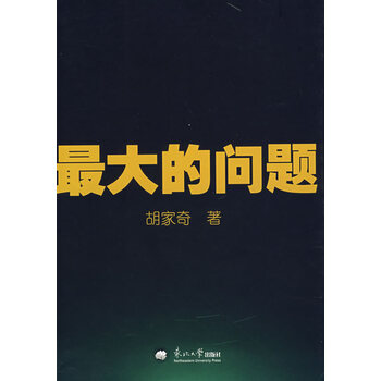 大的问题 胡家奇