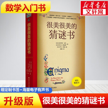 儿童智力开发逻辑思维训练 很美很美的猜谜书升级版