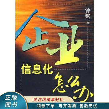 企业信息化：怎么办 钟镔