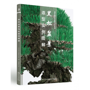 黑松盆景造型实例图解 绿手指日本盆景系列观赏园艺图解彩图版盆景制作 全盆景造型赏析 制作养护培训技法