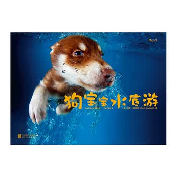 【正版书籍】狗宝宝水底游