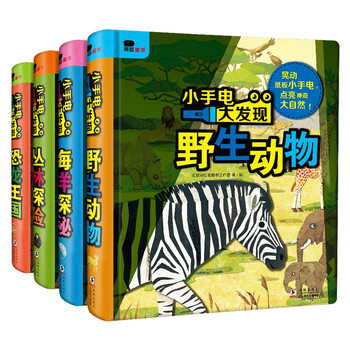 邦臣小红花·小手电大发现（全4册)