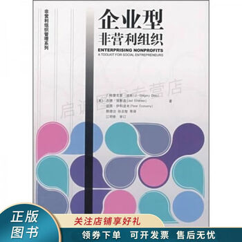 企业型非营利组织 迪斯