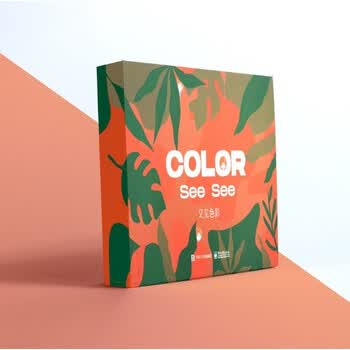 COLOR See See又见色彩 庄亮 电子工业出版 预售