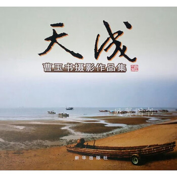 天成 曹玉书 新华出版社