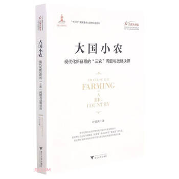 大国小农(现代化新征程的三农问题与战略抉择)/大国大转型中国经济转型与创新发展丛书
