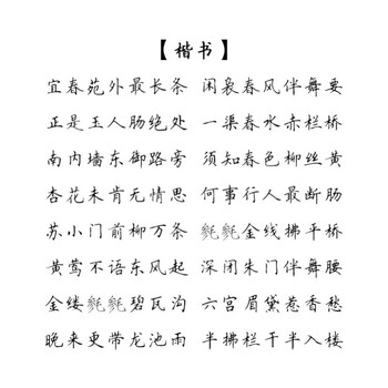 2022年公务员申论范文考试字帖国考公考行书楷书临摹钢笔练字帖 楷书套餐四：具体见详情页