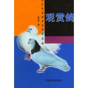 观赏鸽【正版图书】