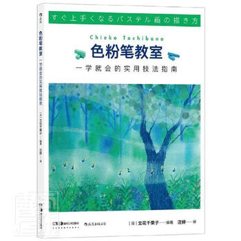 色粉笔教室绘画色粉笔画绘画技法图书