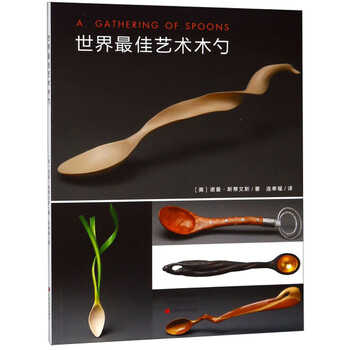 世界最佳艺术木勺