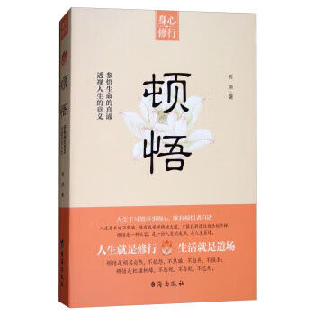 顿悟【正版图书】