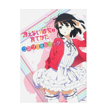 《路人女主的养成方法》公式设定画集 冴えない彼女の育てかた 丸戸史明深崎暮人 日文原版进口动漫图书