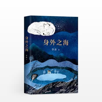 【正版书籍】身外之海